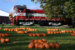 The Great Pumpkin Train - National Railroad Museum
